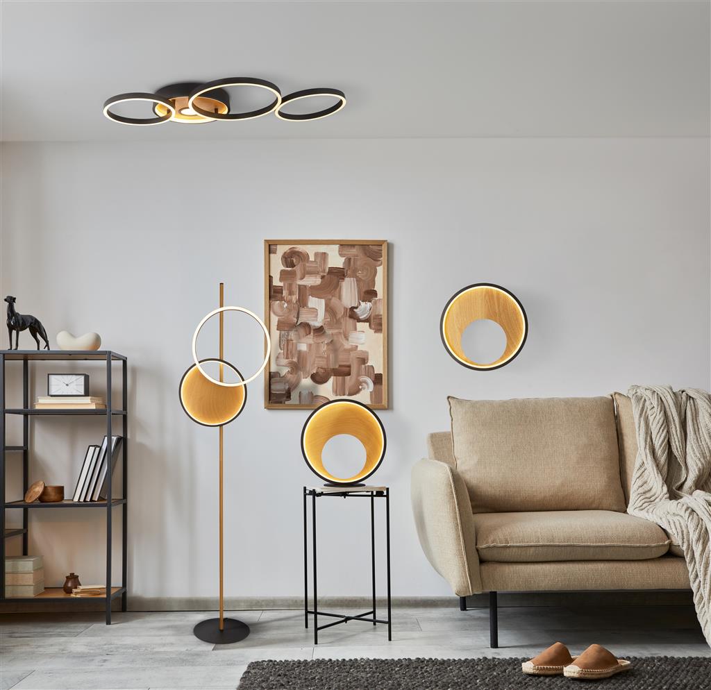 Curio Flush - Black Metal & Wood – Comet Lighting